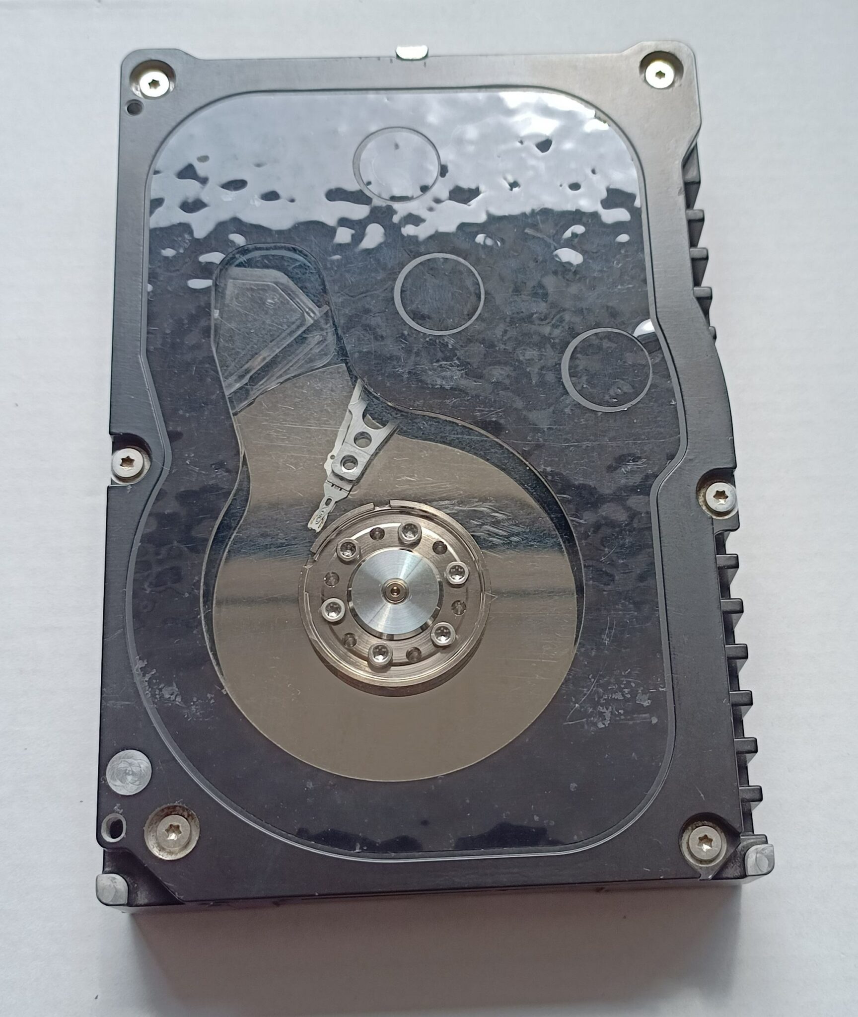 Western Digital Raptor X EL150, 150 GB, WD1500AHFD oder auch einfach ...